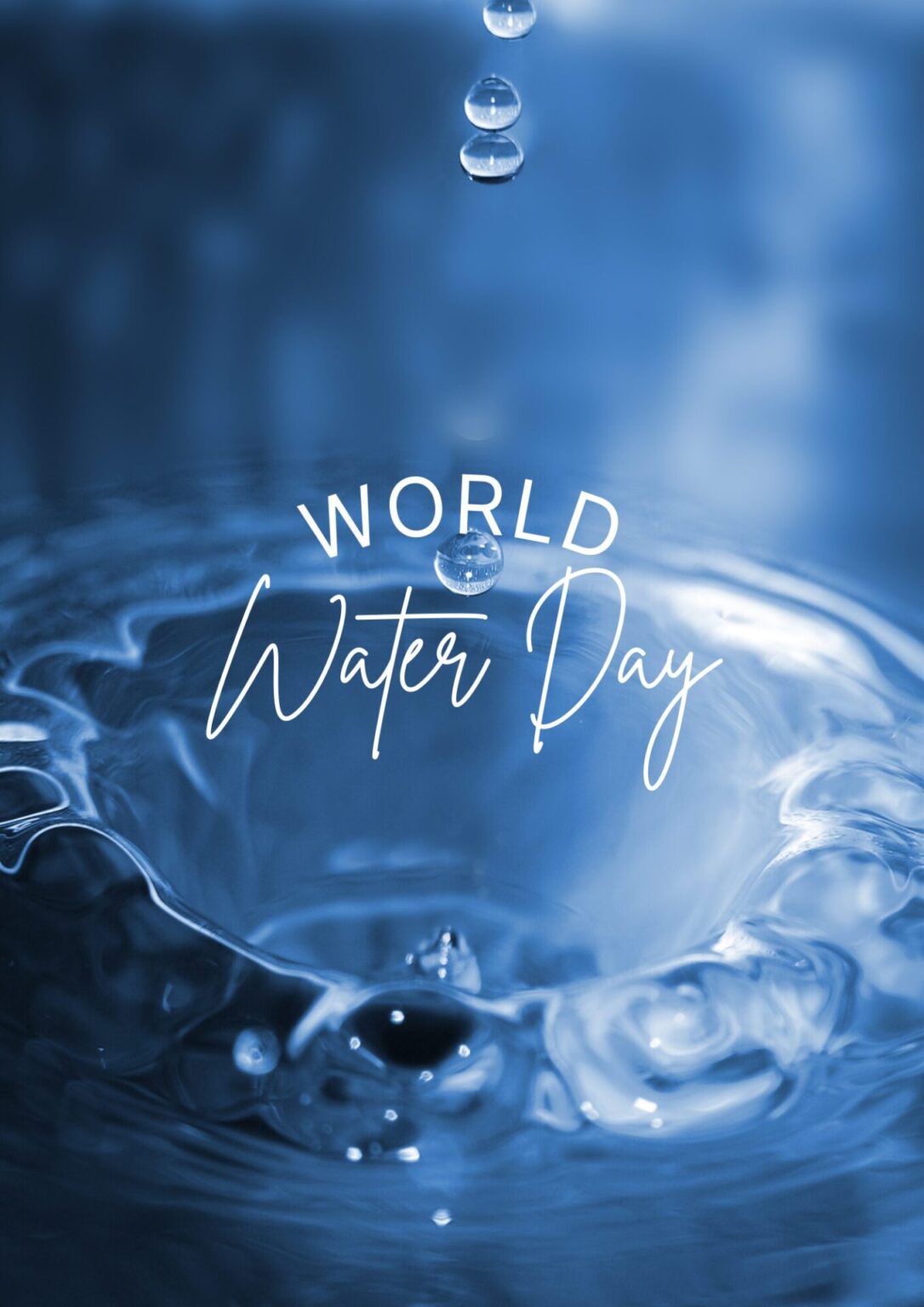 浄水器とフィルターの完全ガイド！種類から交換時期、簡単な交換方法まで徹底解説 - ゆきみナビ